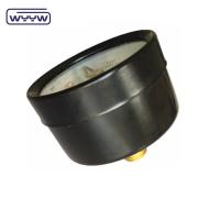 China 1/8 1/4 threaded connection 16 bar water pressure gauge manometer price for sale