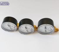 China 60mm general natural air co2 pressure gauge for sale