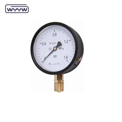 China Black Steel Economy Pressure Gauge 4