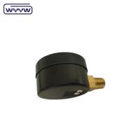 China 40mm Economy Pressure Gauge For Natural Gas OEM ODM OBM Customized for sale