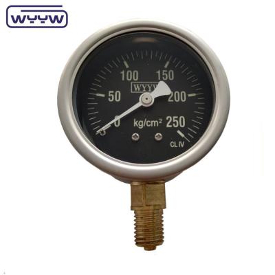 China Special Application Gauges WYYW for sale
