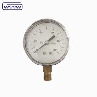 China WYYW Diaphragm Pressure Gauge 100mm Heavy Duty Pressure Gauge for sale