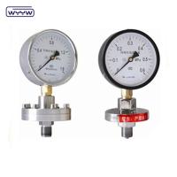 China Silicone Filled Pressure Gauge 100mm SS316 Diaphragm Seal Bourdon Pressure Gauge for sale