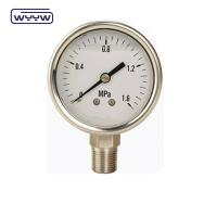 China ss304 special thread high pressure 1000 bar oil filled 4