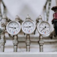 China DN25 Flange Size Diaphragm Pressure Gauge with Bottom Mount and Bourdon Tube Configuration for Industrial Applications for sale