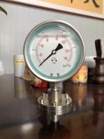 China Stainless Steel Diaphragm Pressure Gauge with Diaphragm Seal Protection for Chemical & Sanitary Applications for sale
