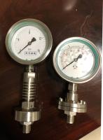 China Stainless Steel Diaphragm Pressure Gauge with Diaphragm Seal Protection for Chemical & Sanitary Applications for sale