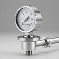 China Stainless Steel Diaphragm Pressure Gauge with Diaphragm Seal Protection for Chemical & Sanitary Applications for sale