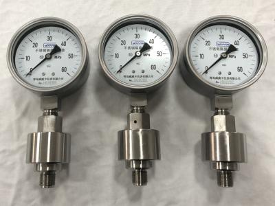 China Stainless Steel Diaphragm Pressure Gauge 4