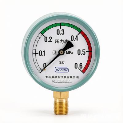 China 2 Inch Case Size High Pressure Gauge Ani Vibration Measurement Range 0 to 6000 Psi Suitable for Industrial Applications for sale