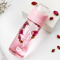 China Personalized Glass Water Bottle Can Make Tea With Tea Filter 500ml for sale