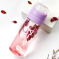 China Personalized Glass Water Bottle Can Make Tea With Tea Filter 500ml for sale
