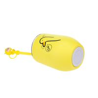 China Creative Double Wall 304 Stainless Steel Vacuum Insulated Water Bottle for sale