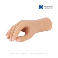 China ISO 13485 620mm AE Skeleton Hand Arm With Lock for sale