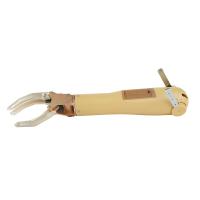 China ISO 13485 Upper Limb Prosthetic , Myoelectric Upper Arm Prosthetics for sale