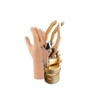 China Wrist Universal Rotate 360 Degree Myoelectric Prosthetic Arm for sale