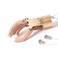 China Three Fingers Upper Limb Prosthetic , MYO Prosthetic Hand for sale