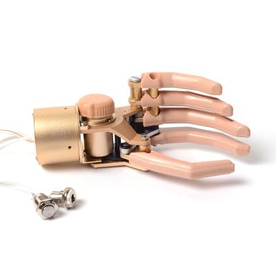 China Three Fingers Upper Limb Prosthetic , MYO Prosthetic Hand for sale