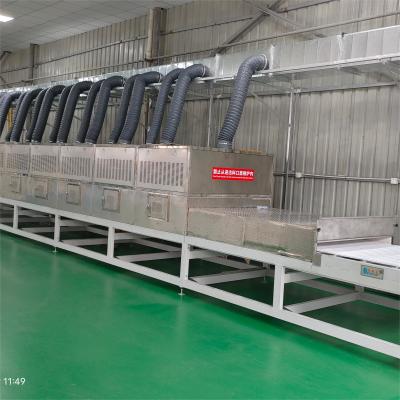 China CrystalWave Precision Drying System 5-20T/h Capacity 30-250°C Industrial Microwave Dryer for sale