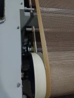 China Water Based Paint Microwave Drying Production Line Servo Motor for sale