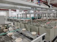 China High Speed Spin Coating Production Line for Pulp Mold Waterproofing 40-60 pcs/min 380V for sale
