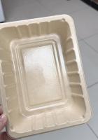 China Smart IoT Rotary Coating Pilot Machine with CE Certificate for Premium Pulp Molded Products - Industry 4.0 Solution for sale