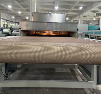 China Industrial Microwave Drying Tunnel for Pulp Molding & Bulk Foods - Continuous Conveyor System for sale