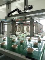 China Rotating Base Vacuum Adsorption Pulp Molded Spin Coating Line with 1-36 Workstations for Food Packaging Production for sale