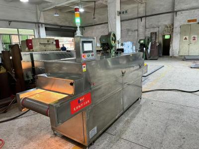 China In-Line UV-C Tunnel 254nm for High-Speed Sterilization of Transparent Food Packaging 300mm Width for sale