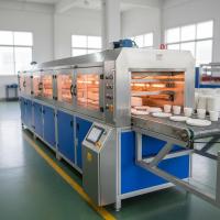 China Bagasse Pulp Molding IR Drying Machine 2.2-Meter 9.5kW Rapid Drying System for Sustainable Tableware Production for sale