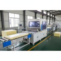 China Fully Automatic Scraping Coating Machine for XPS Board Surface Preparation | High-Capacity Production Line for sale