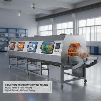 China Industrial Microwave Drying Tunnel 30kW 100kW for Fruits Herbs Pulp Molding Uniform Drying for sale
