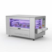 China High-Intensity UV-C Tunnel Sterilizer for Transparent Food Packaging for sale