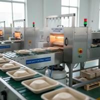 China Pulp Molding Internal Coating Production Line 380V 160kW for Food Safety Tableware for sale