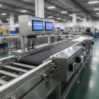 China PLC Controlled High Speed Continuous Conveyor System For Fast And Smooth Transport for sale