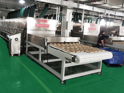 China 1170mm Width 85KW Industrial Microwave Dehydrator for Pulp Molding with 1-10m/min Adjustable Speed for sale