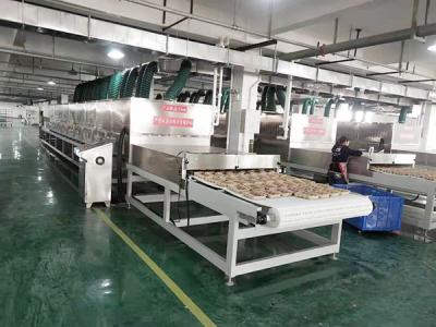 China OSM-WBHG-800 Industrial Microwave Drying Line for Wood Panels - 161kW Power, 800mm Conveyor Width, 40-100°C Temperature Range for sale