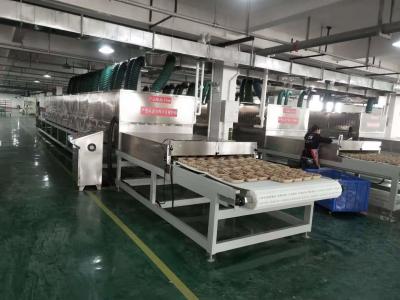 China Customizable Multi-Purpose Microwave Drying Production Line for Energy Saving Industrial Sterilization & Dehydration for sale