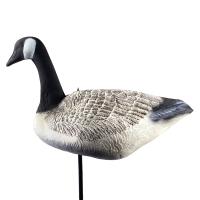 China Foldable EVA Canada Foam Goose Decoys Full Size / Full Body Shooting Decoys for sale