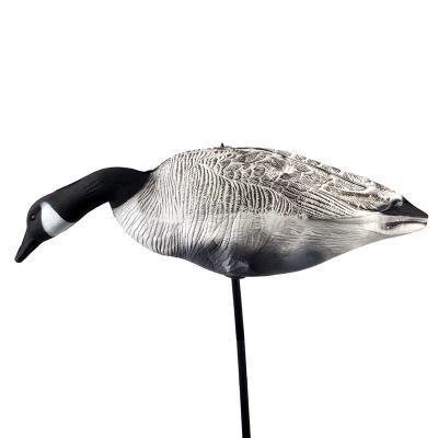 China Foldable EVA Canada Foam Goose Decoys Full Size / Full Body Shooting Decoys for sale