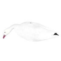 China Soft Foam Goose Decoys / Folding Snow Goose Decoys For Hunting Or Garden Decoration for sale