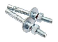 China Screw Type Expansion Anchor Bolts Stainless Steel / Carbon Steel 40mm - 300mm for sale