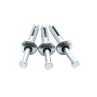 China Polishing Core Expansion Nail Hammer Drive Anchors Alloy Steel Gecko Swells Inside for sale