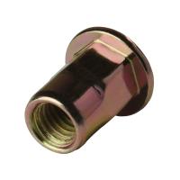 China Plain Zinc Plated Hexagon Rivets Nut Flat Head Stainless Steel SUS304 ML08AL for sale