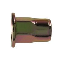 China Plain Zinc Plated Hexagon Rivets Nut Flat Head Stainless Steel SUS304 ML08AL for sale