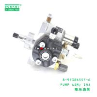 China ISUZU 700P 4HK1 8973865576 Injection Pump Assembly with 3 Months Warranty for sale
