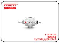 China ISUZU 1-48410733-0 1484107330 Quick Release Valve Assembly for 6WF1 CYZ 0.34kg for sale