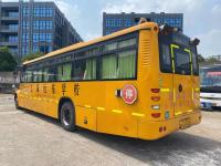 China Higer Used School Bus Coach KLQ6116 Yuchai Engine 147kw 2+3layout 48seats for sale