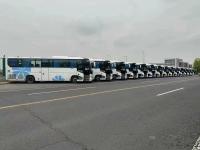 China Used Luxury Bus White Color 50 Seats Leaf Spring 2018 Year Middle Door Rare Engine 2nd Hand Yutong Bus ZK6119 for sale