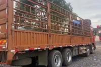 China 2nd Hand Lorry Orange Color 12 Meters 8×4 Drive Mode Yuchai Engine 6 Cylinders 420hp 2021year Dongfeng Cargo Truck for sale